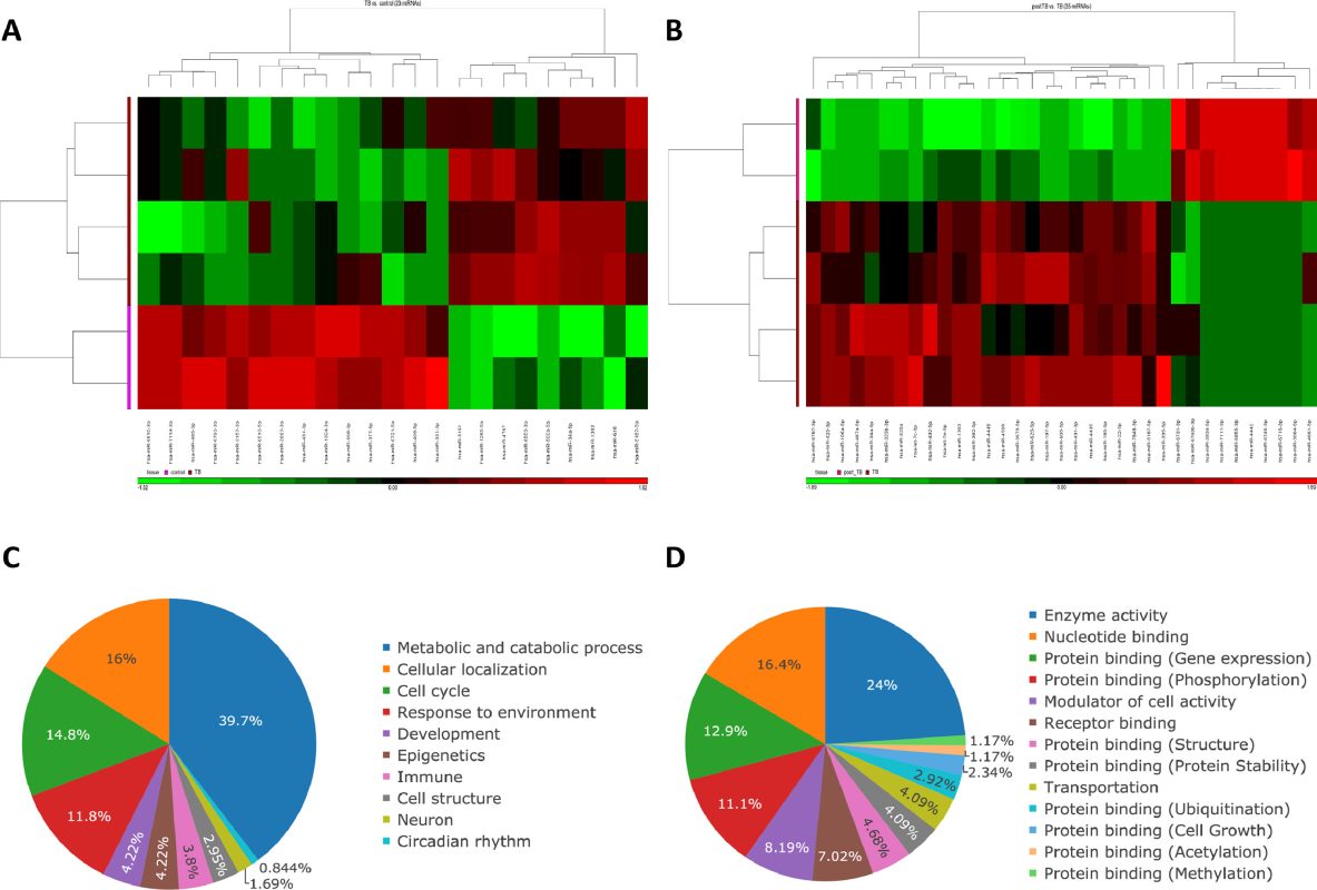 Next generation sequencing reveals miR-431–3p/miR-1303 as immune ...